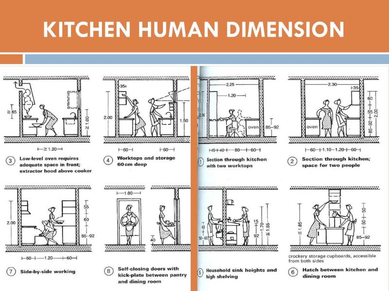 Anthropometric